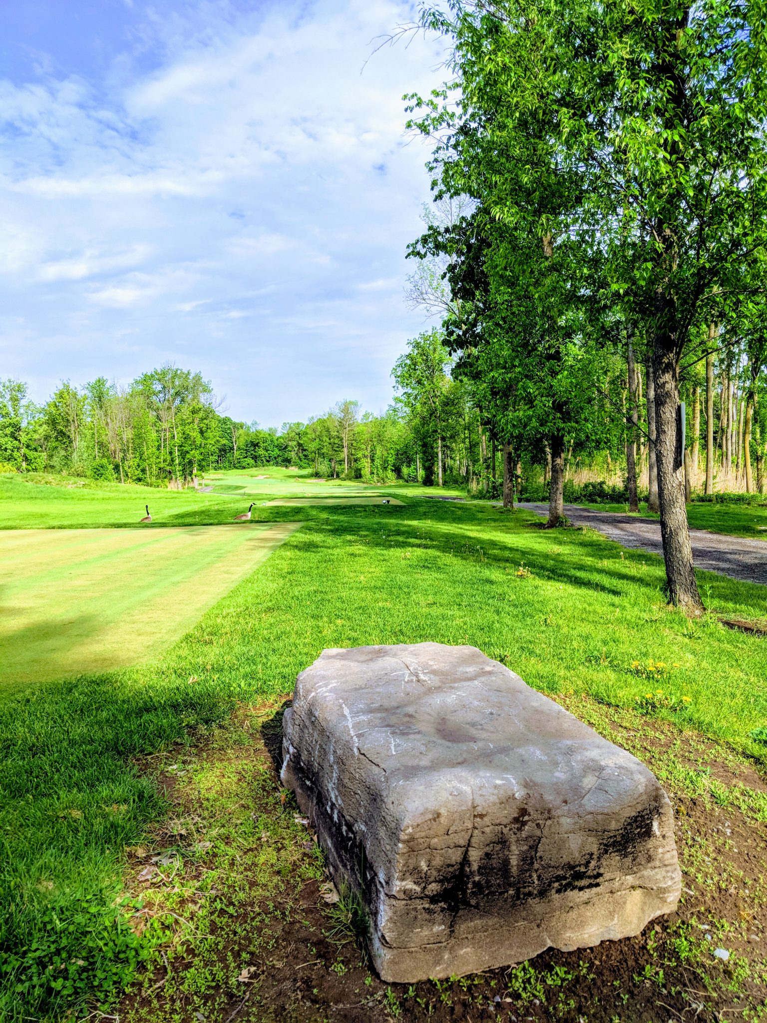The course – Mystic Pines Golf